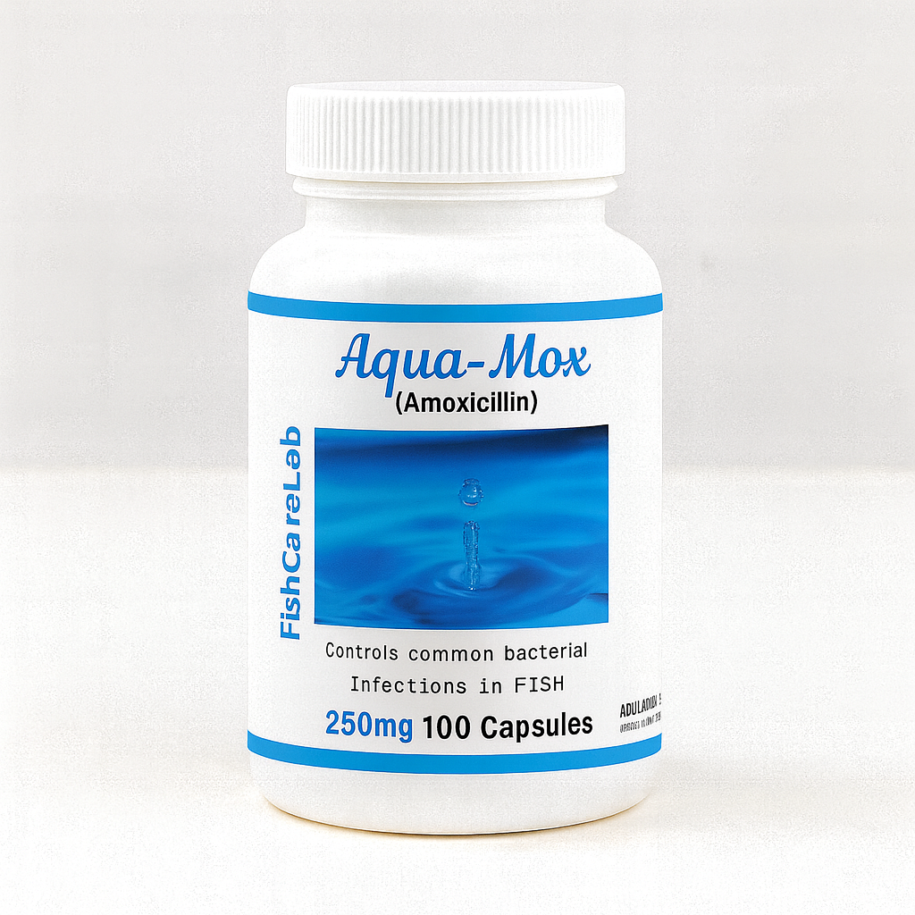 Aqua Mox 250mg 100 Capsules - TheFishMox! High-quality fish antibiotics ...